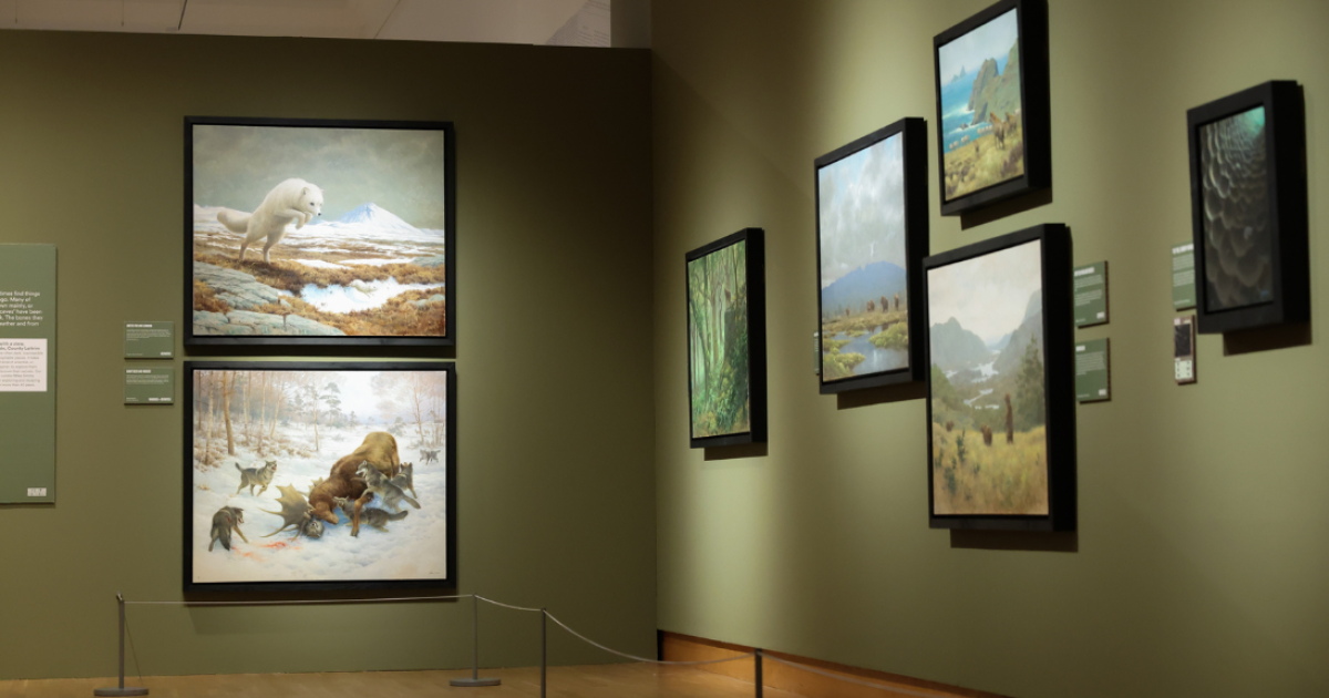 UM - Wild Ireland - 1095x616.png